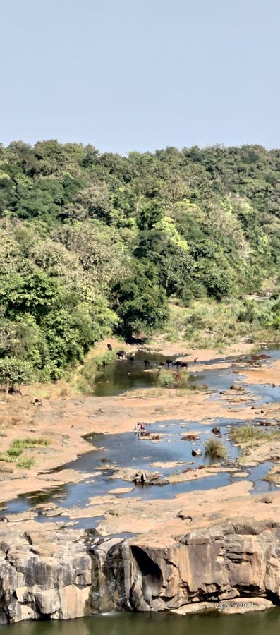 Devghat Waterfall Wildlife Mangrove Religious Stock Image - Image of ...