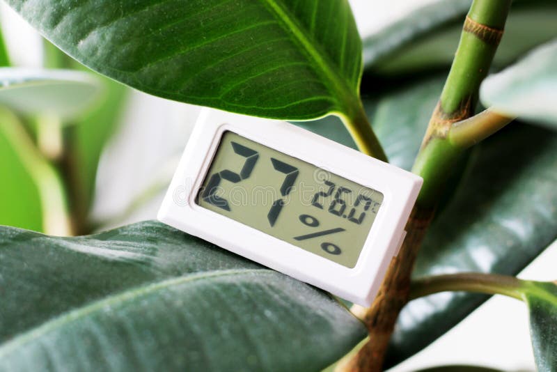 A Device for Measuring Humidity and Temperature and a Plant Stock Photo ...