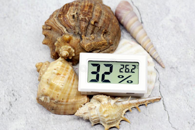 Device for Measuring Humidity and Temperature with Shells, Thermometer ...