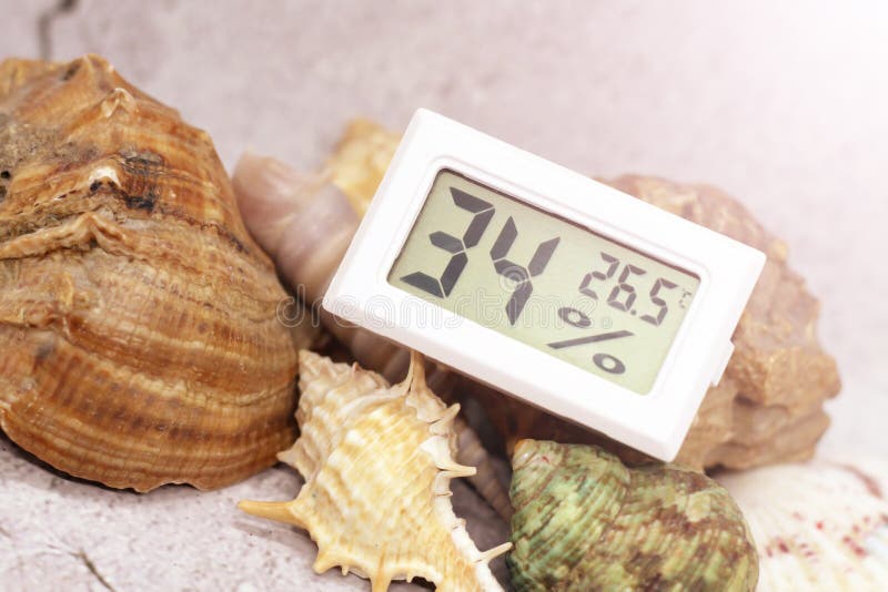 Device for Measuring Humidity and Temperature with Shells, Thermometer ...