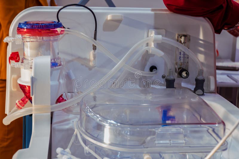 Device for Normothermic Perfusion of a Donor Kidney Stock Image - Image ...