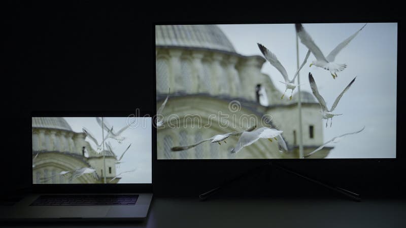 Device Quality Comparison. Action. Video on Laptop and Computer Monitor ...