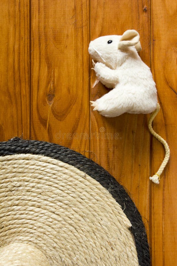 Device for Sharpening Claws Stock Image - Image of device, industry ...