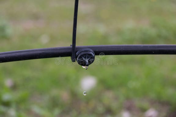 Dropper for Efficient Irrigation Stock Image - Image of efficient ...