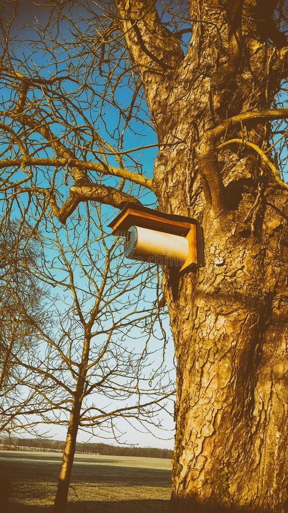 Device tube on a tree stock image. Image of metal, tranquility - 170166173