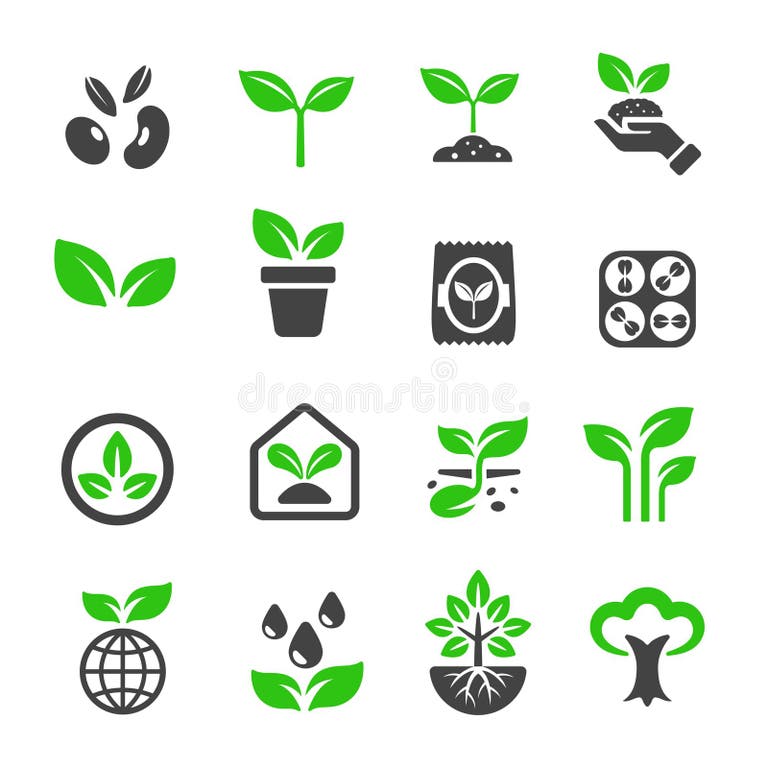 Plant Sapling Icon Stock Illustrations – 9,290 Plant Sapling Icon Stock ...