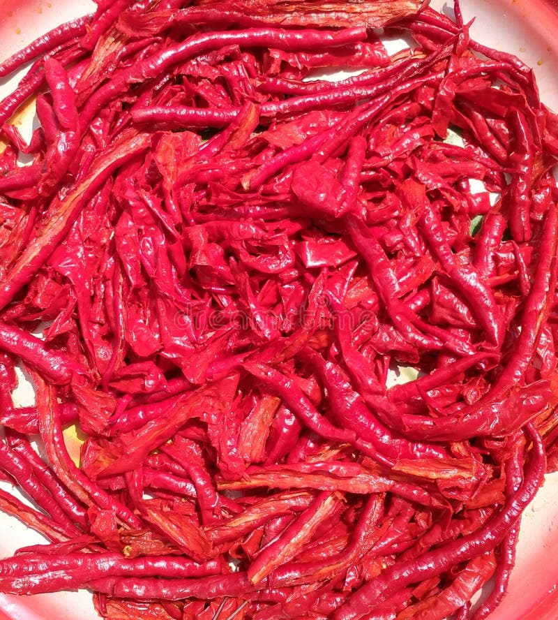 Big Devil Chili Withe Bagraound Stock Photo - Image of chili, bagr ...