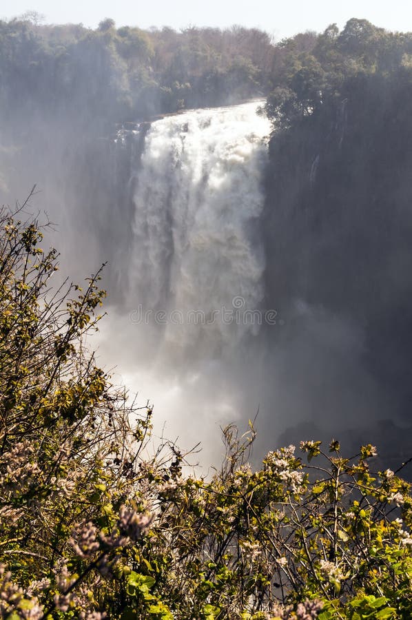 Victoria Falls - Devil`s Cataract Stock Image - Image of national ...