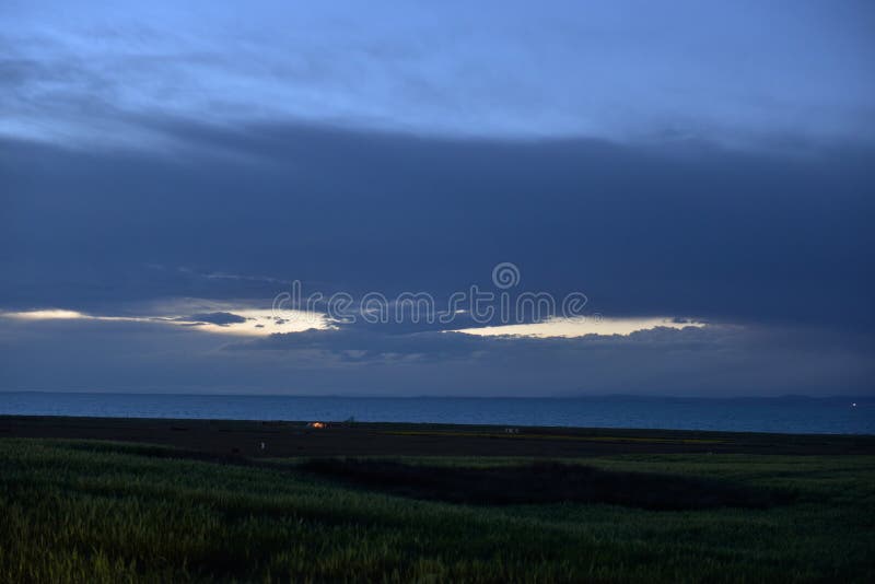 Devil s eyes stock image. Image of grassland, devil, green - 43892733