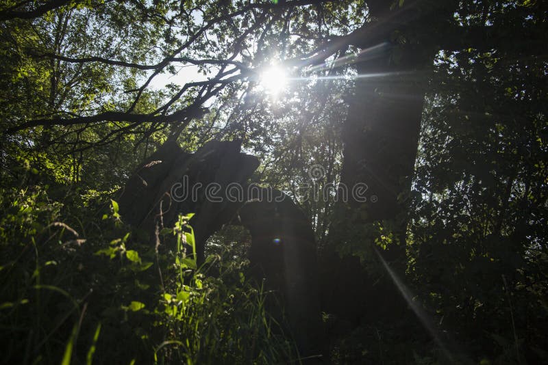 The Devil`s Ring and Finger Holed Stone Stock Image - Image of small ...