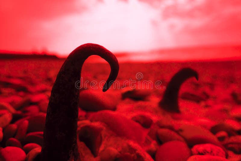 The Devil s Tree stock photo. Image of hallucination - 237779936