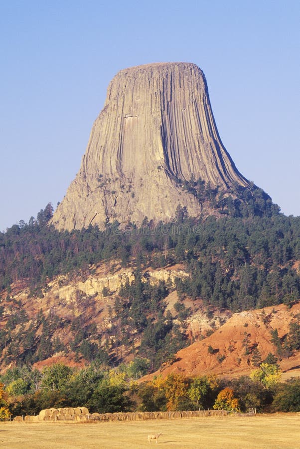 Devil S Tower National Monument Stock Image - Image of formation, rock ...