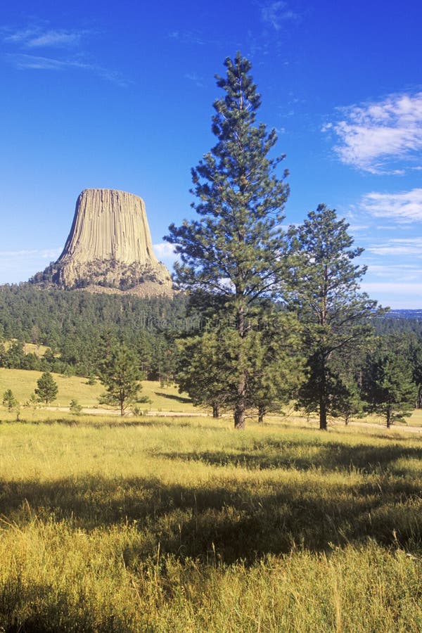 Devil S Tower National Monument Stock Photo - Image of geology, north ...