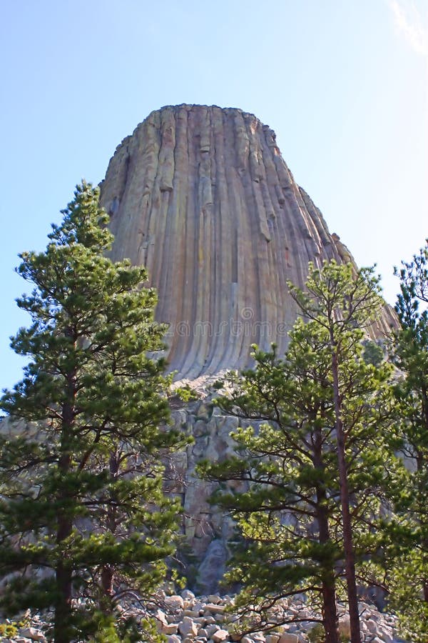Devils Tower And Pine Trees Stock Photo - Image of igneous, monolith ...