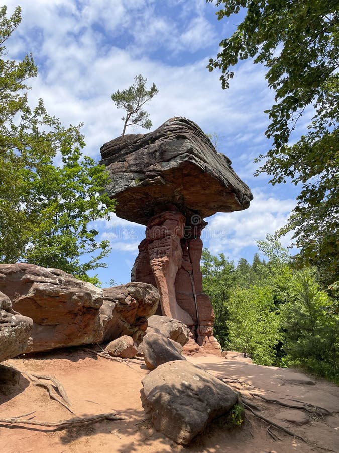 Devil Table Mushroom Rock in Hinterweidenthal in Palatinate Forest ...