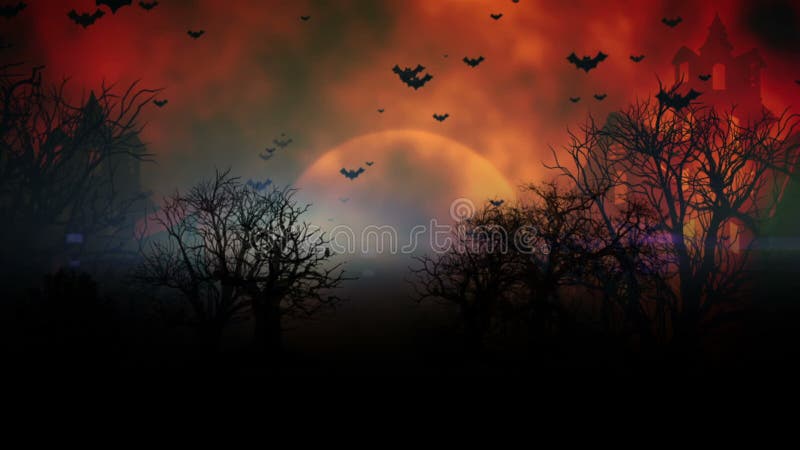 Devils forest stock video. Video of hallucinate, cobwebs - 59751285