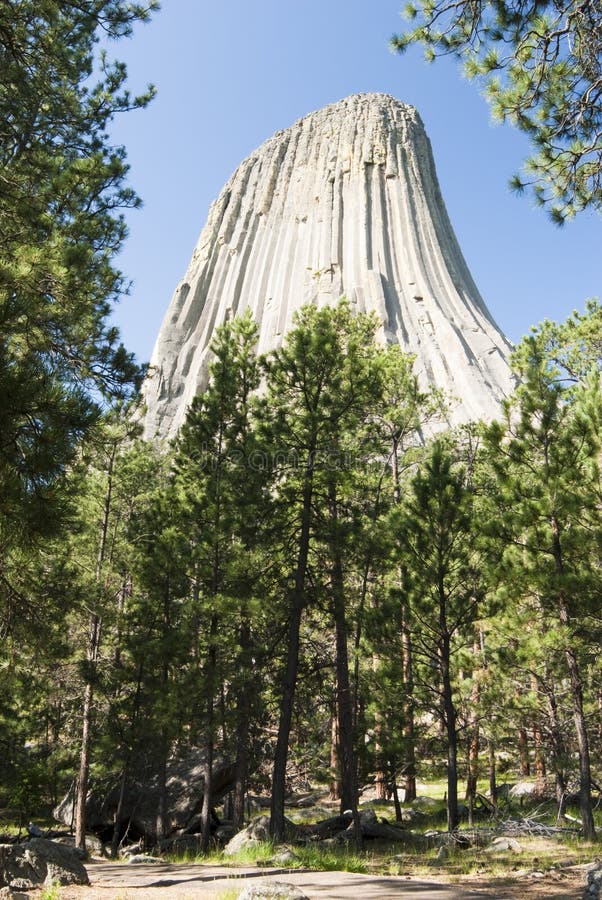 Devils Tower stock photo. Image of erosion, trail, forest - 12161774
