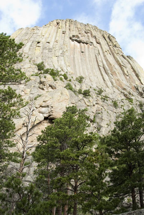 Devils Tower stock photo. Image of ponderosa, pine, geologic - 12343506