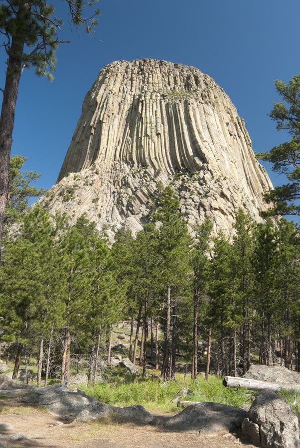 Devils Tower stock image. Image of core, pine, tower - 12520613