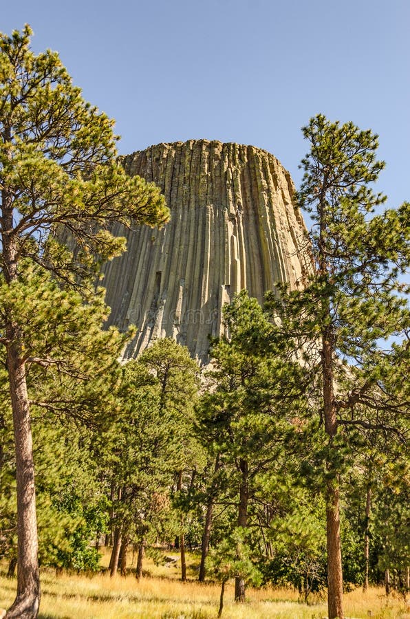 Devils Tower Behind Trees stock photo. Image of composition - 163597442