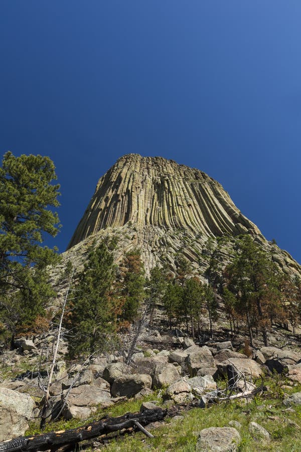 Devils Tower stock image. Image of county, trees, landmark - 32088663
