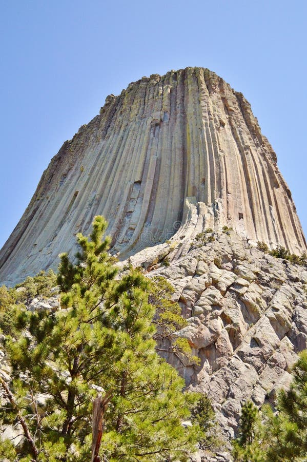 Devils Tower stock photo. Image of tree, national, devils - 75603670