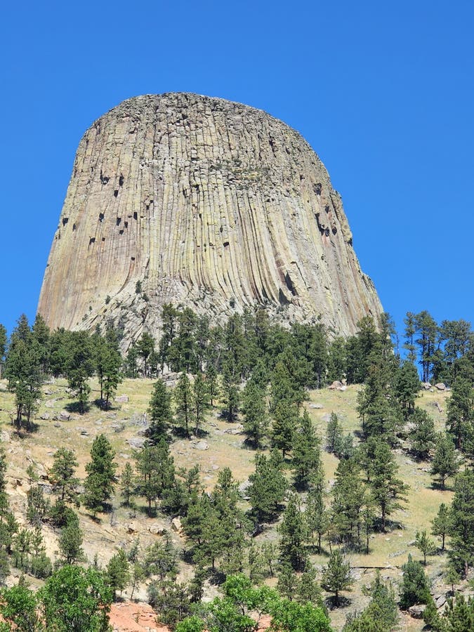 Devils Tower National Monument Stock Photo - Image of tree, rock: 253987580