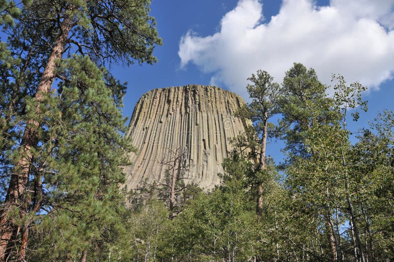 Devils Tower - North Picture. Image: 6119479