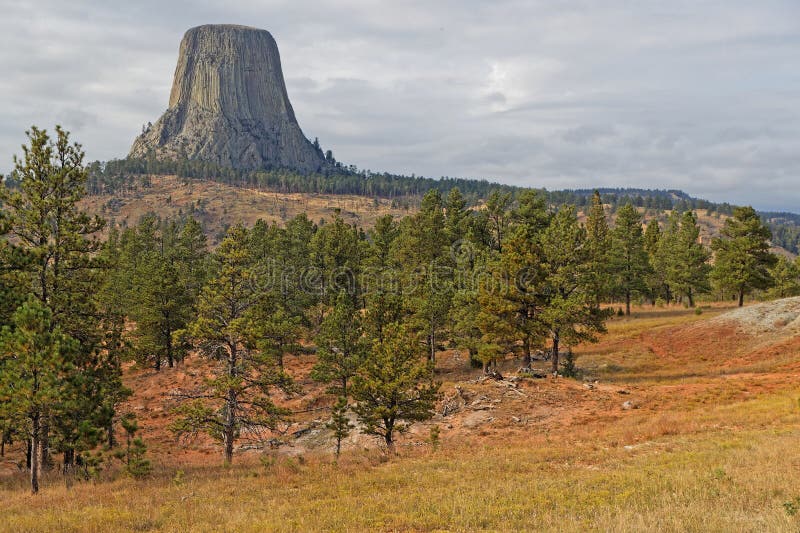 The Devils Tower Over the Forest Stock Photo - Image of climbing ...