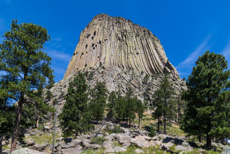 Devils Tower Rising High Above Landscape of Ponderosa Pines and Meadow ...