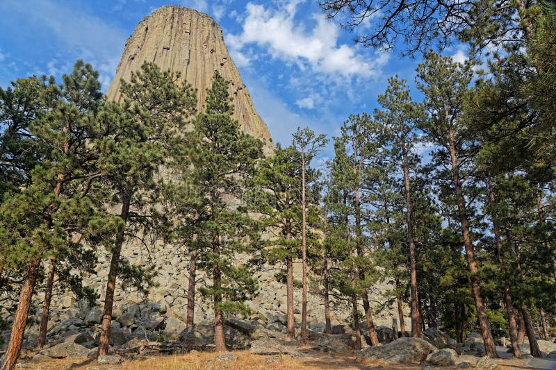 Devils Tower Summit Seen through the Forest Stock Image - Image of bear ...