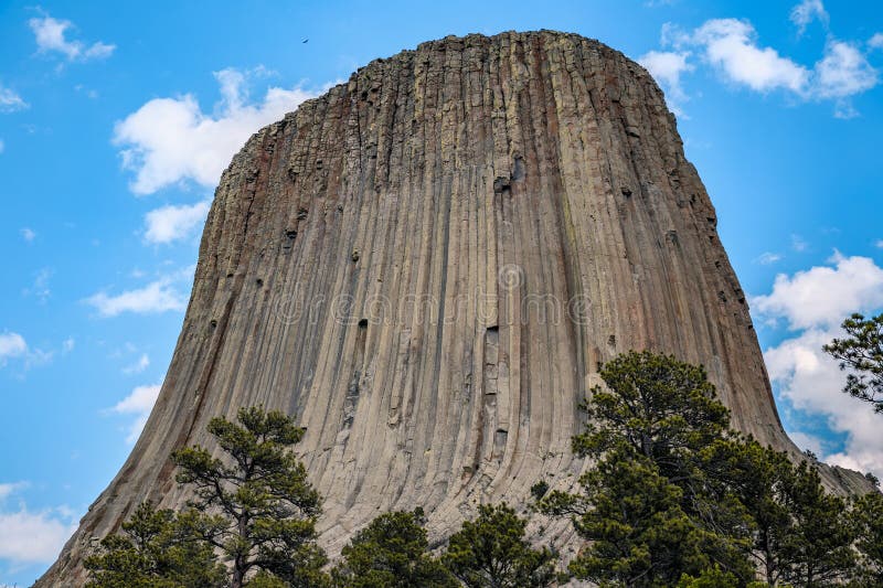 Devils Tower Towering Up, Devils Tower National Monument, Wyoming Stock Photo - Image of ...