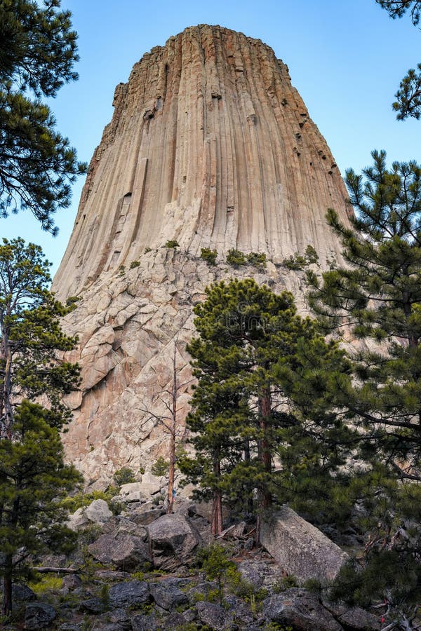 Devils Tower Towering Up between the Trees, Devils Tower National ...