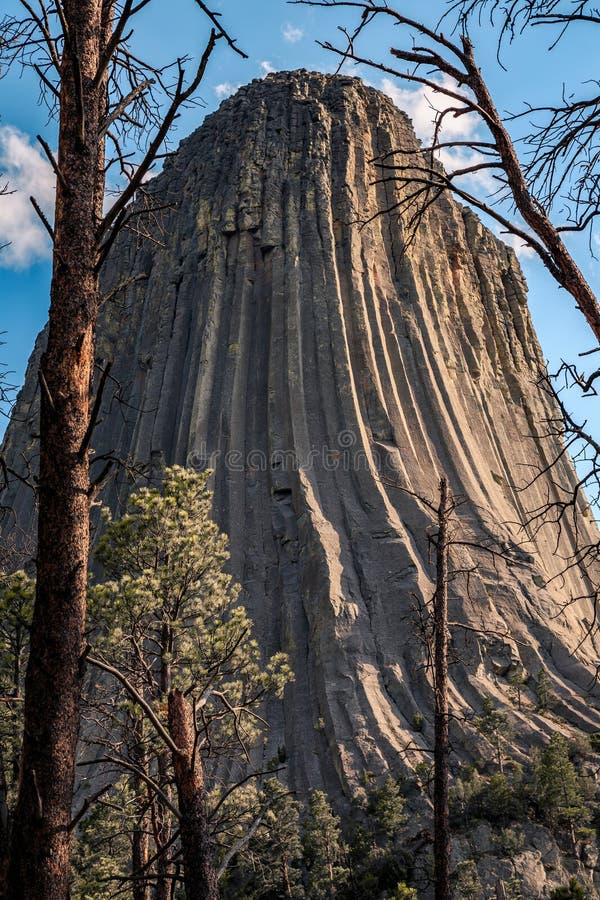 Devils Tower Towering Up Trees National Monument Wyoming Stock Photos ...
