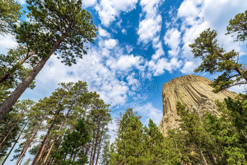 Devils Tower and Trees stock photo. Image of park, mountain - 67288716