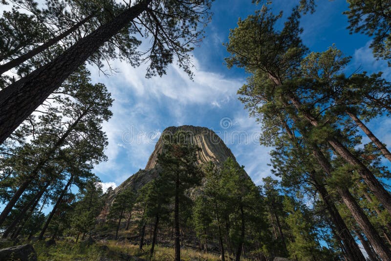 Devils Tower through the Trees Stock Photo - Image of green, capped ...