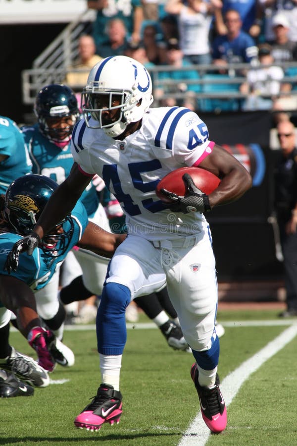 Colts running stock photo. Image of gallop, galloping - 8500650