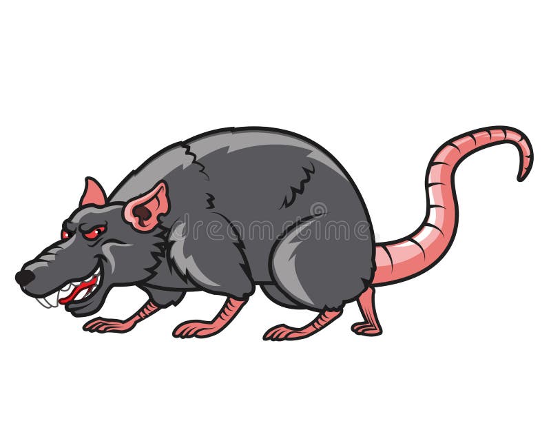 Devious Rat stock vector. Illustration of mouse, animal - 55147990