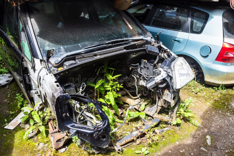 Devizes Wiltshire May 22nd 2019 Wild Plants Growing through an Empty ...