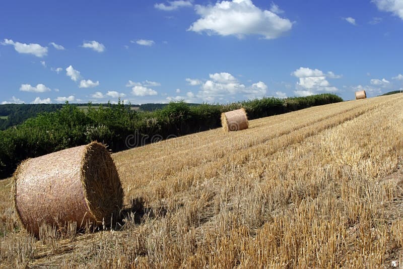 Devon countryside scene stock photo. Image of countryside - 1378896