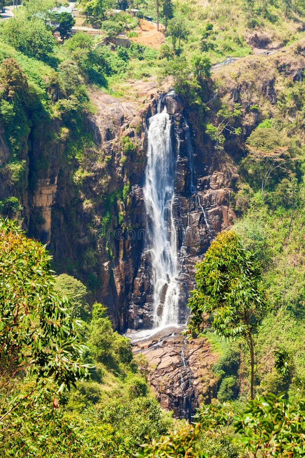 Devon Falls, Nuwara Eliya stock photo. Image of jungle - 101375210