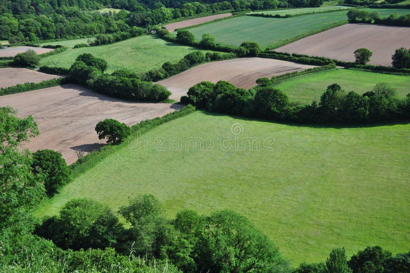 Devon farmland stock image. Image of grass, pasture, nature - 19805153