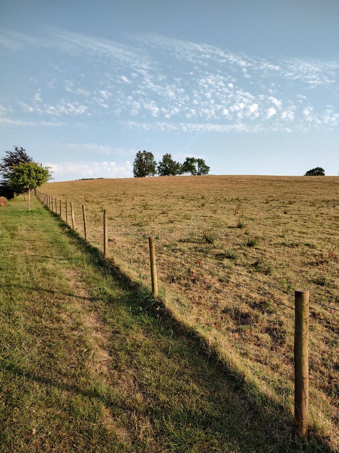 Devon Field Summer Blue Sky Clouds Trees Stock Photo - Image of plant ...