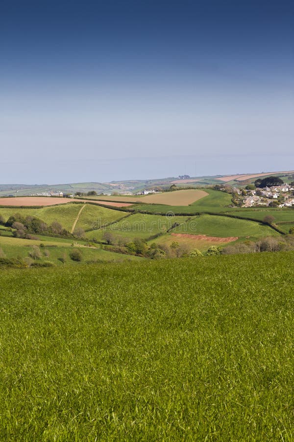 Patchwork fields stock photo. Image of farm, english - 20824356