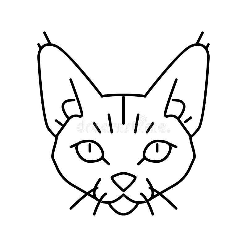 Devon Rex Stock Illustrations – 271 Devon Rex Stock Illustrations ...