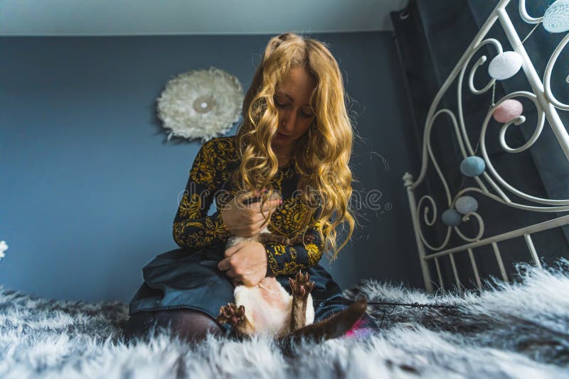 Devon Rex Cat Having Fun with the Owner at Home, Humans and Pets Love ...