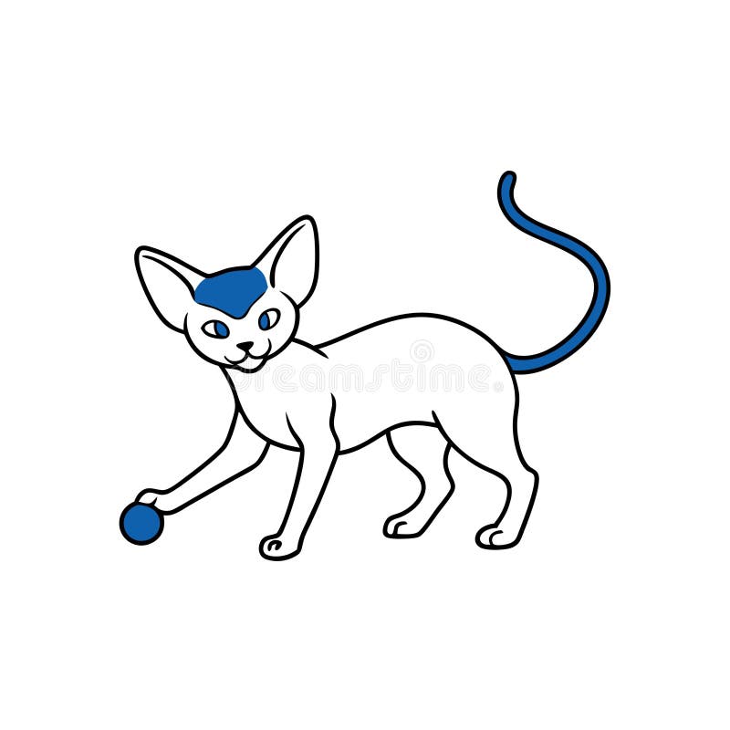 Devon Rex Cat Play Icon Vector Stock Vector - Illustration of flat ...