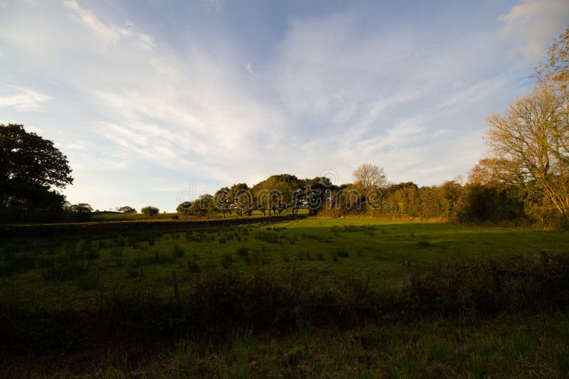 Devon Small Fields with Hedgerows Stock Photo - Image of grassland ...