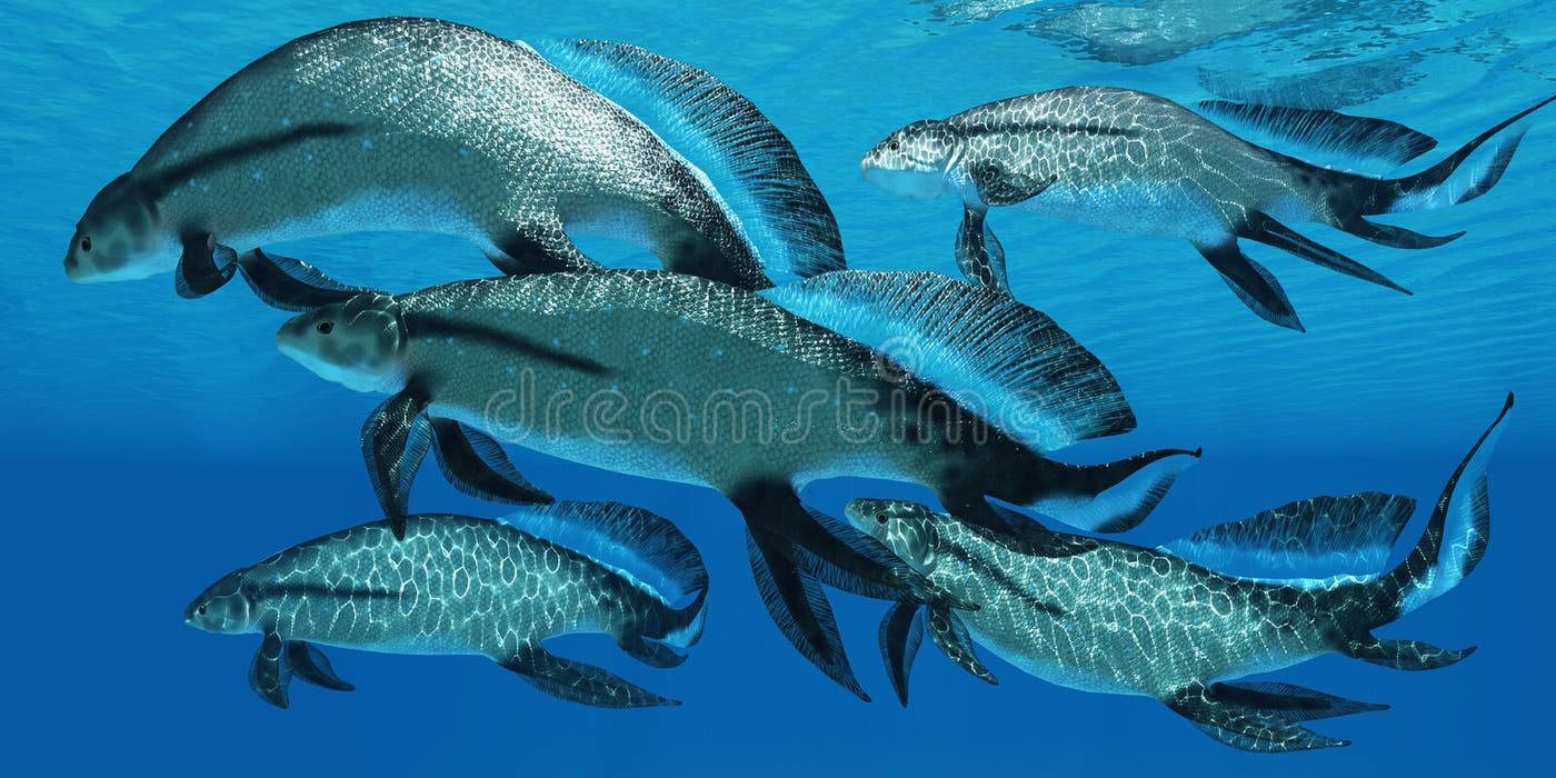 Lobe Finned Fish Stock Illustrations – 21 Lobe Finned Fish Stock ...