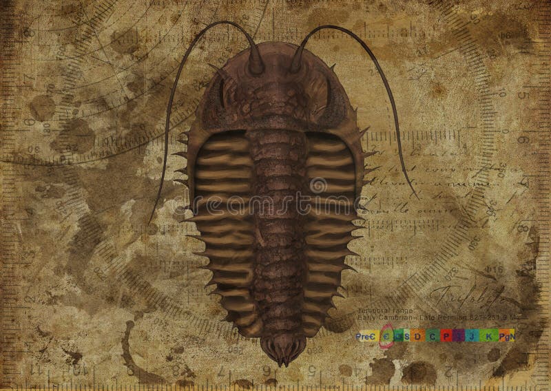 Devonian Trilobite Extinct Arthropod Variant Art Study Old Paper Poster ...